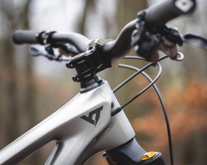 YT Capra Core 5: Top of the food chain | IMB | Free Mountain Bike ...