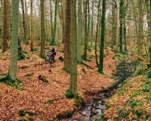 How to Winter Survival | Mountain Bike Technique » Seasonal Riding ...