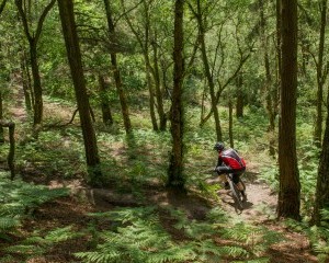 How to Switchbacks | Mountain Bike Technique » Terrain | Free Mountain ...