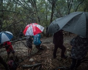 EWS Tasmania Gallery- Nathan Chilcott Visual | IMB | Free Mountain Bike ...