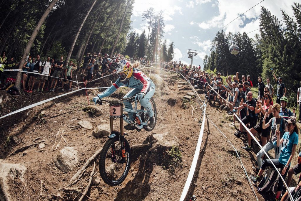 Track downhill store