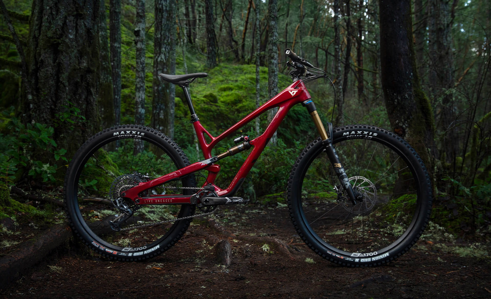 YT Unleashes New JEFFSY Core Models | IMB | Free Mountain Bike Magazine ...