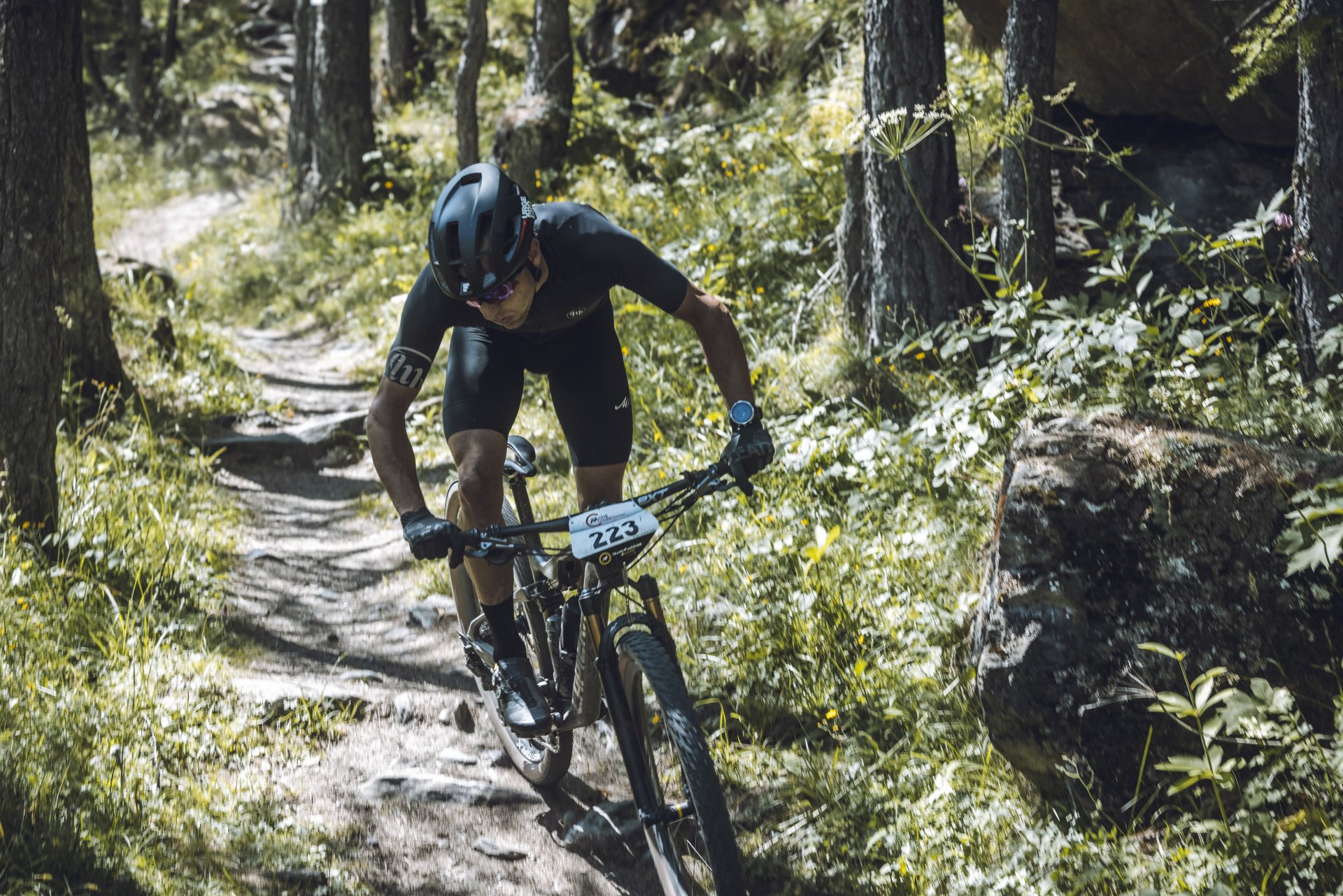New Lapierre XR & XRM | IMB | Free Mountain Bike Magazine Online